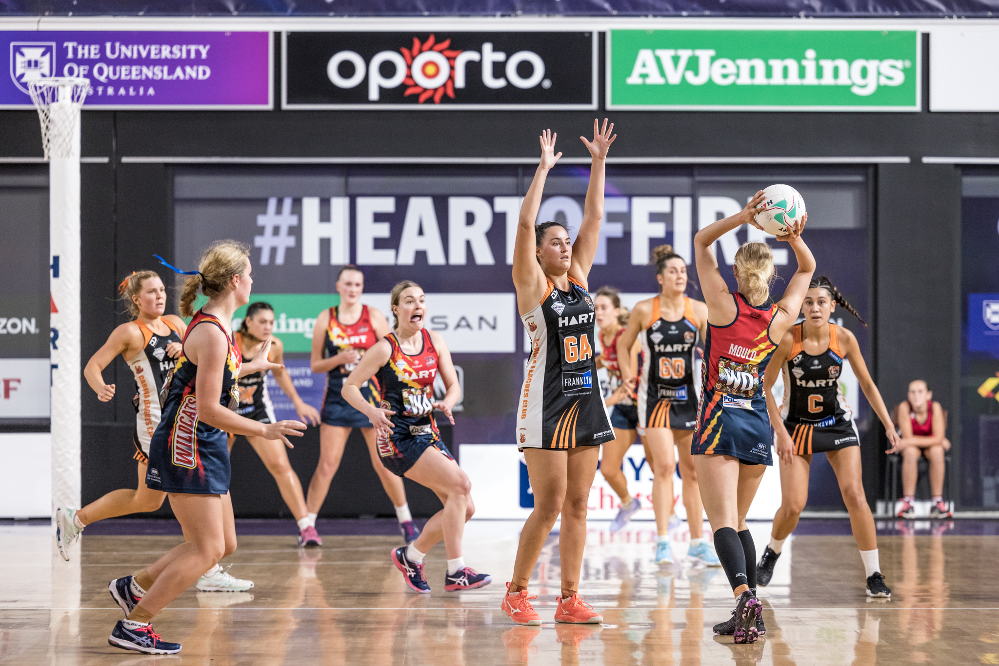 _06A8104©GregSullavan - Brisbane East Netball Tigers